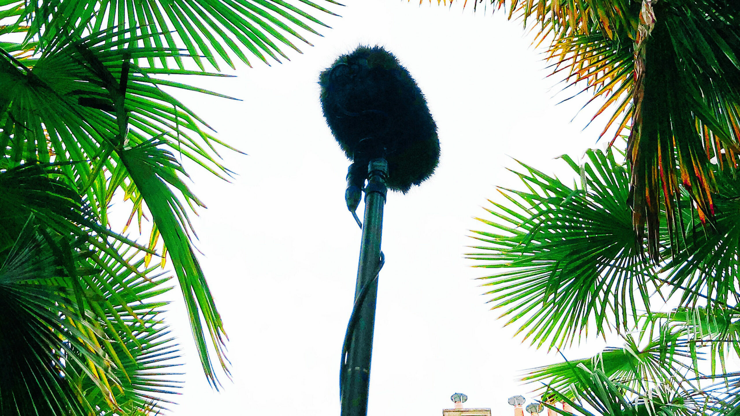 The Boompole : An Indispensable Tool for Sound Engineers - Audio Field